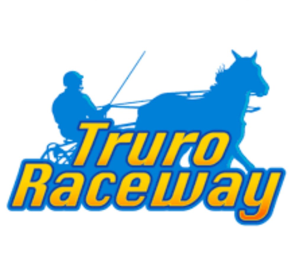 Flash – Harness Racing's leading picks & analysis source